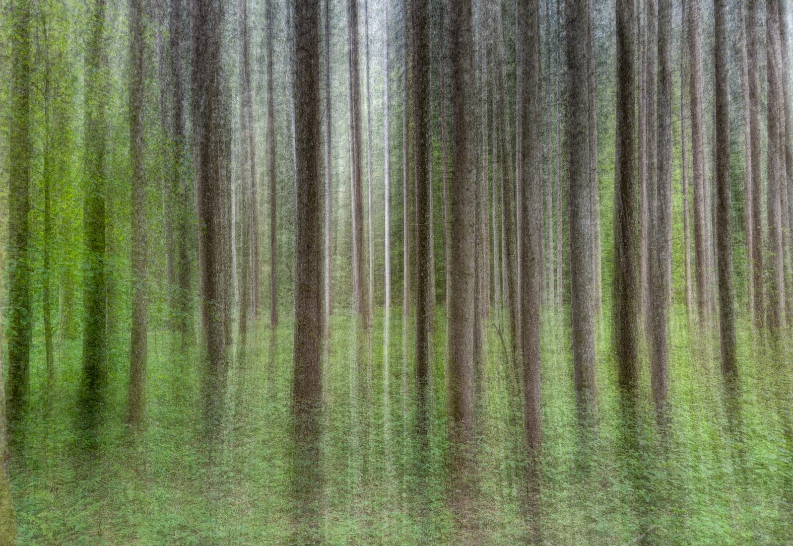 Wald an der Steinernen Mühl, Austria