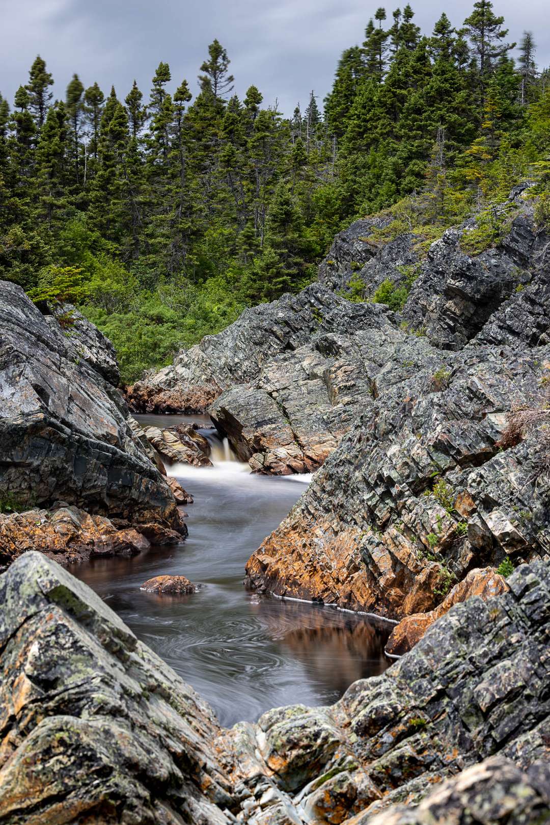 Top 2 Photo Spots at Cape Broyle in 2026