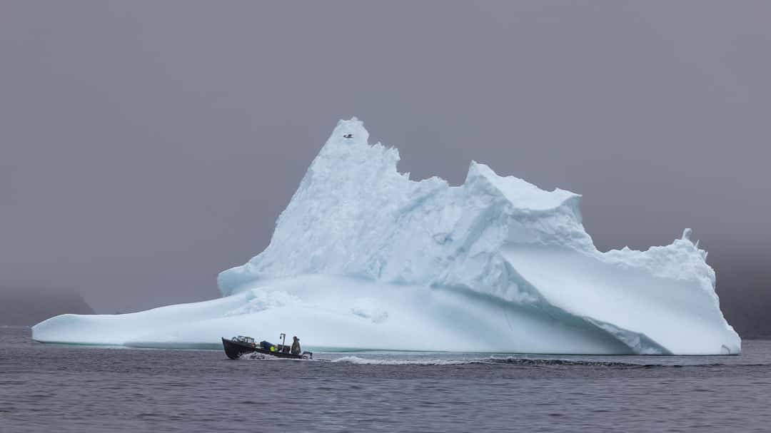 Top 2 Photo Spots at Iceberg Alley in 2026