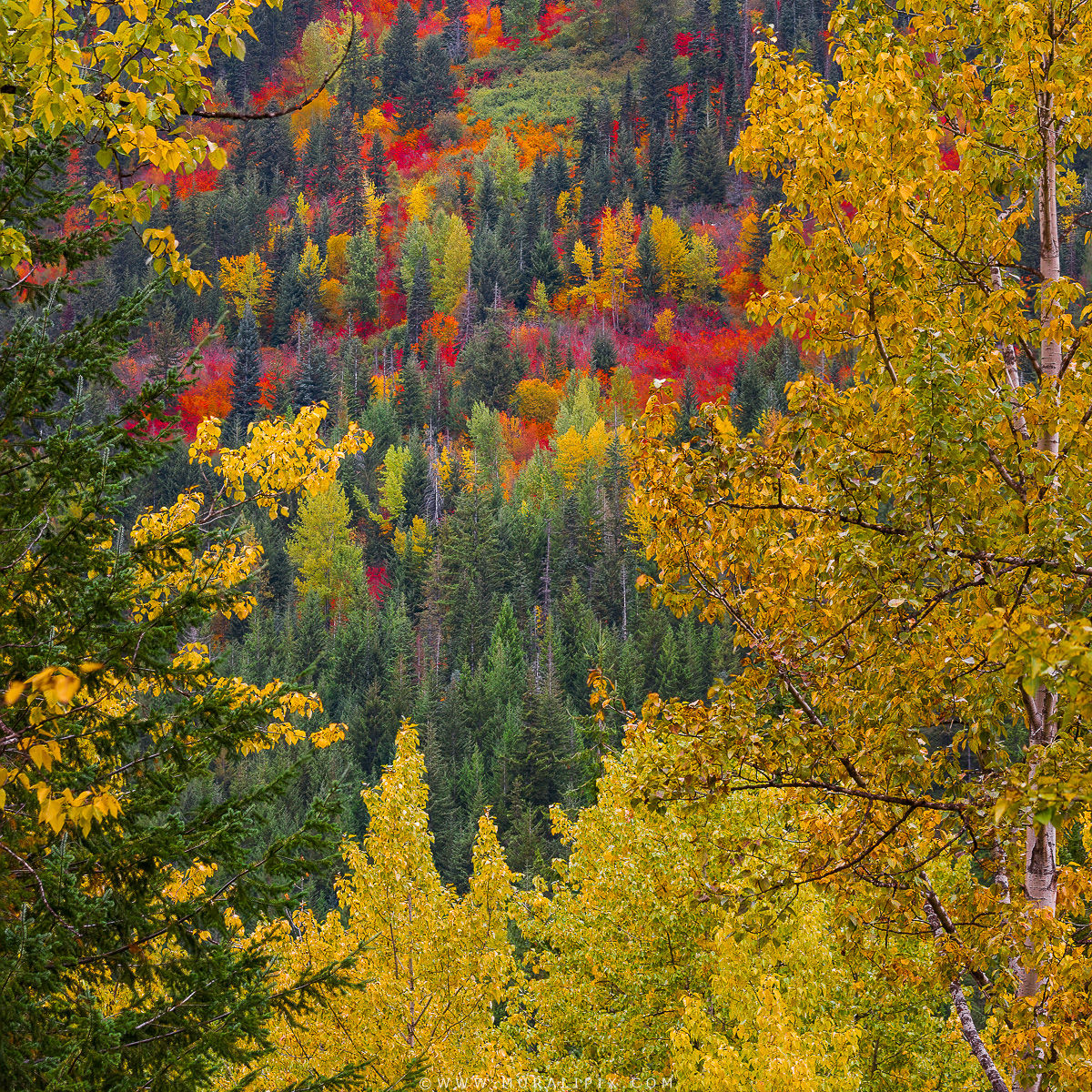 Top 2 Photo Spots at US Highway 2 in 2024