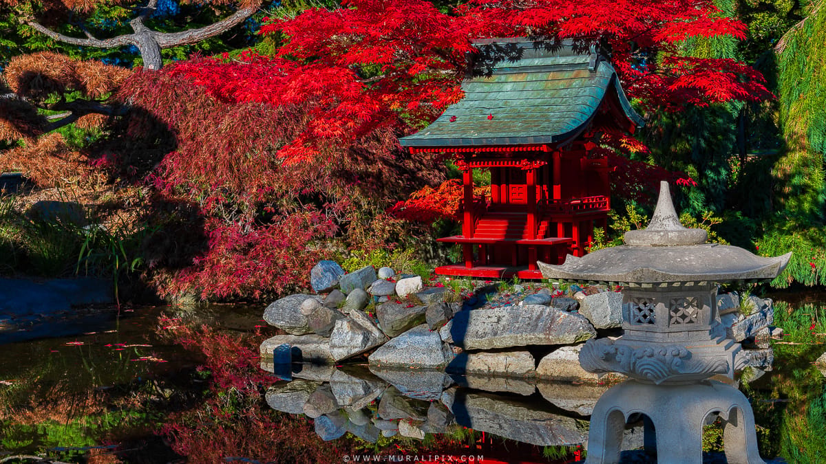 Top 2 Photo Spots at Point Defiance Park in 2024
