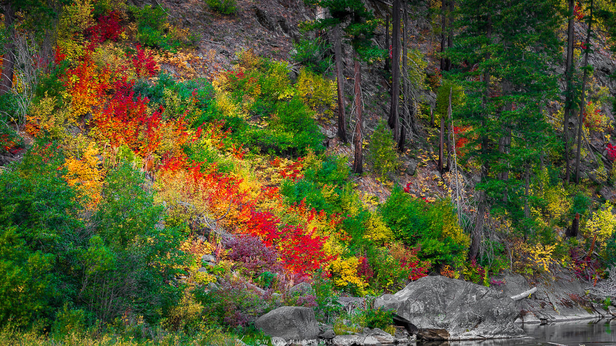 Swift Water Picnic Area, USA