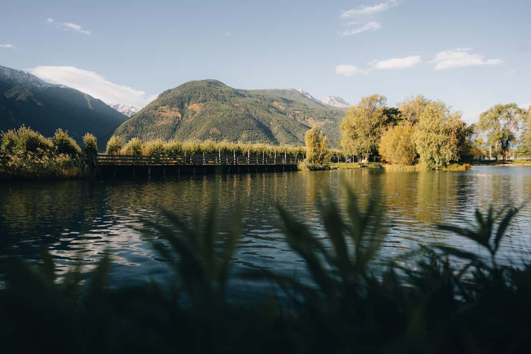 Fishing Pond Coldrano, Italy