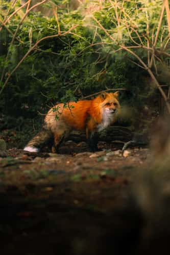 Top Photo Spots at poing in 2026