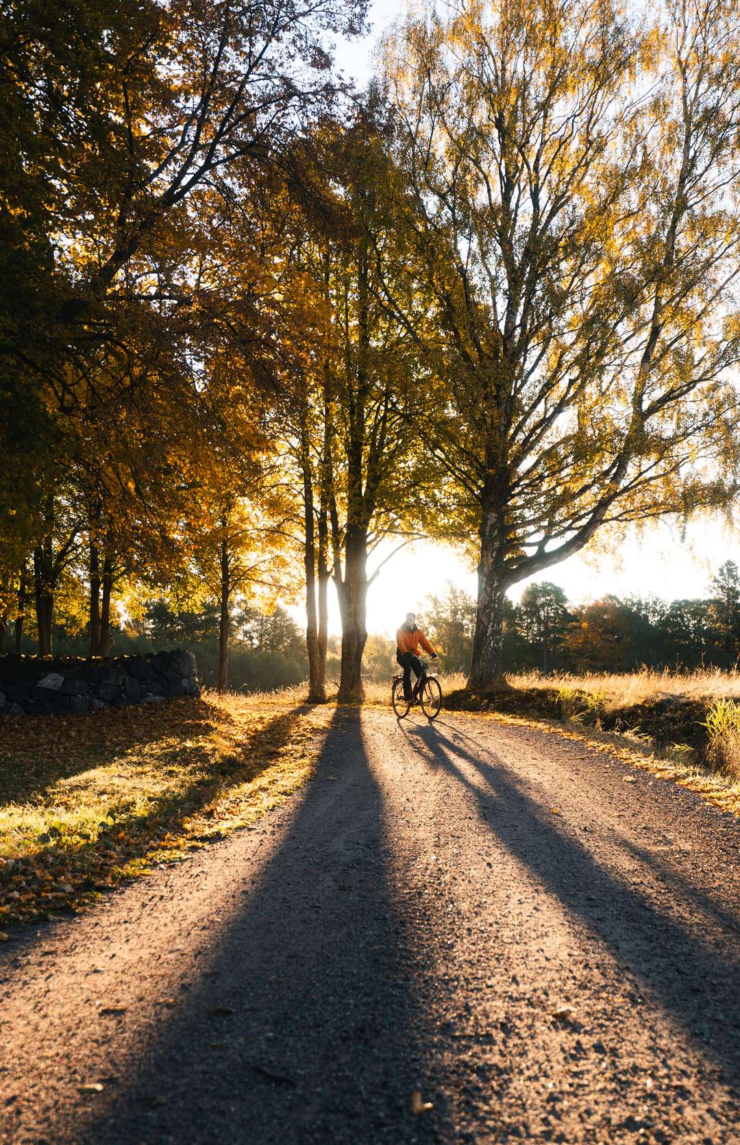 Road to Utö kyrka, Sweden