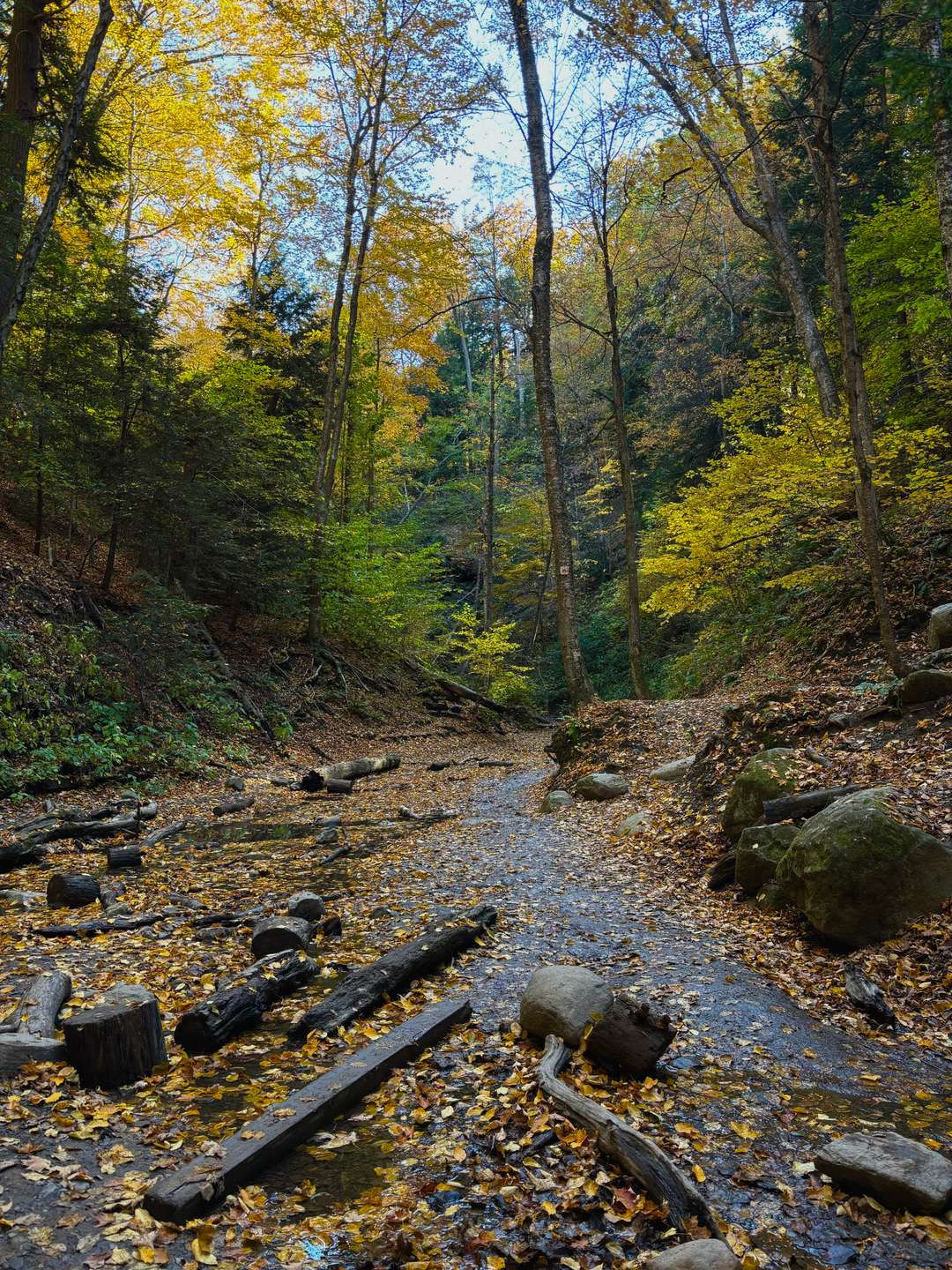 Top Photo Spots at Chestnut Ridge Park in 2026