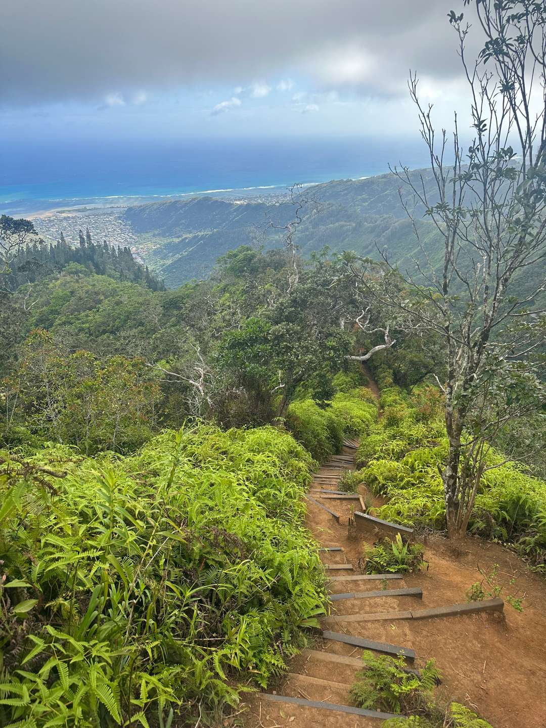 Kuli'ou'ou Ridge Trail, USA