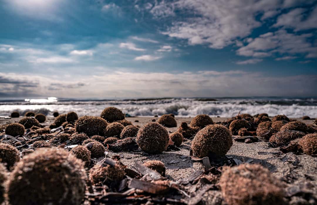 Poetto Sardegna, Italy
