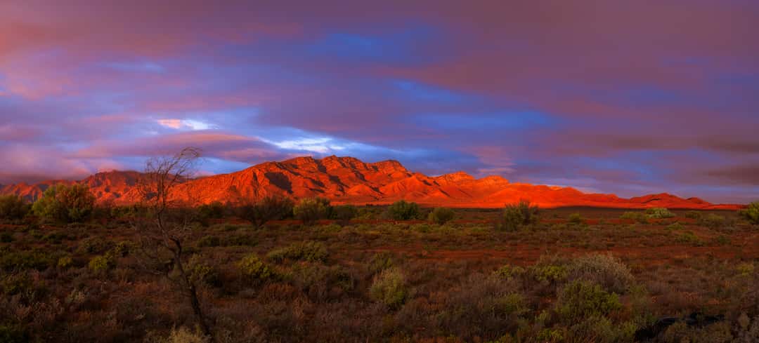 Flinders Ranges from the Outback Highway, Australia
