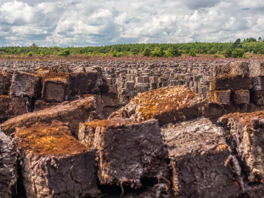 Top Photo Spots at Lackagh Beg in 2025