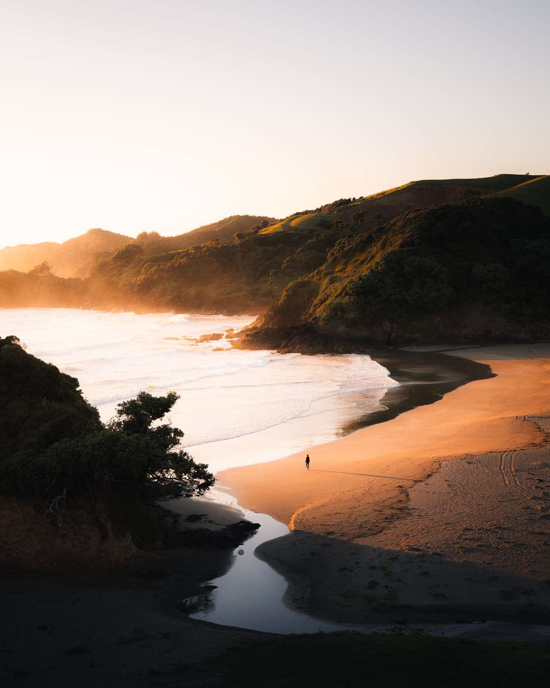 Major Beach Elliot Bay, New Zealand