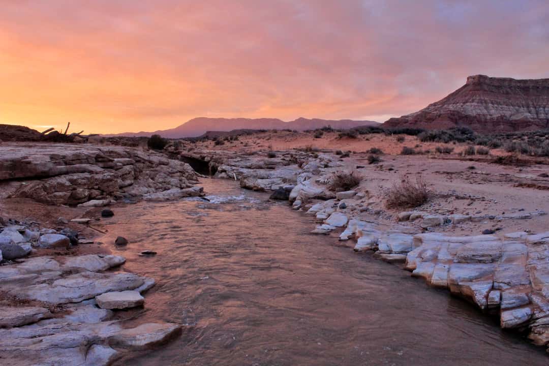Top Photo Spots at Sheep Bridge Park in 2026