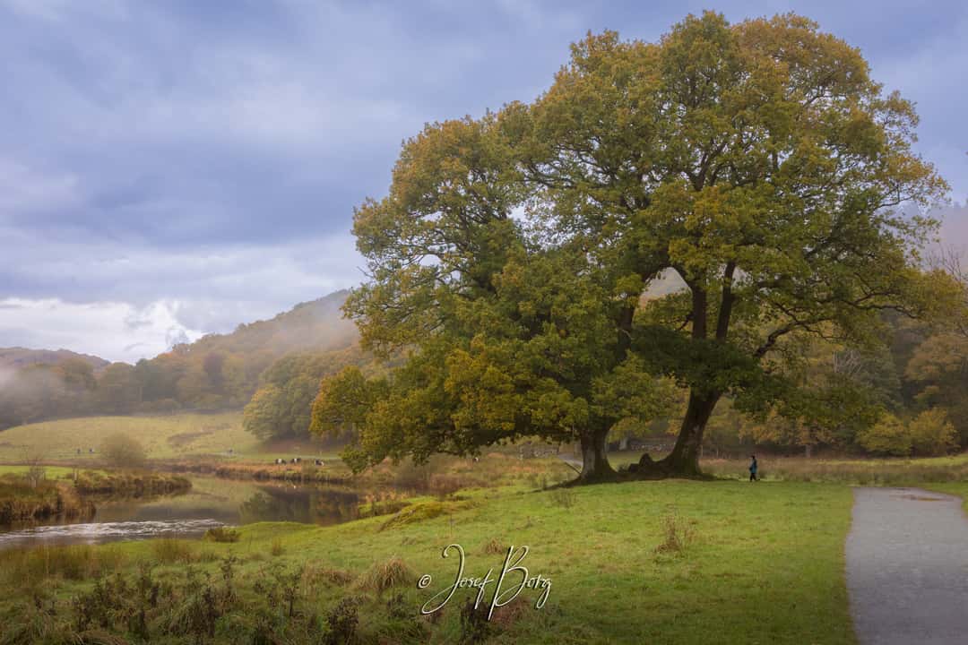 Elter Water Walk in Lake District, United Kingdom