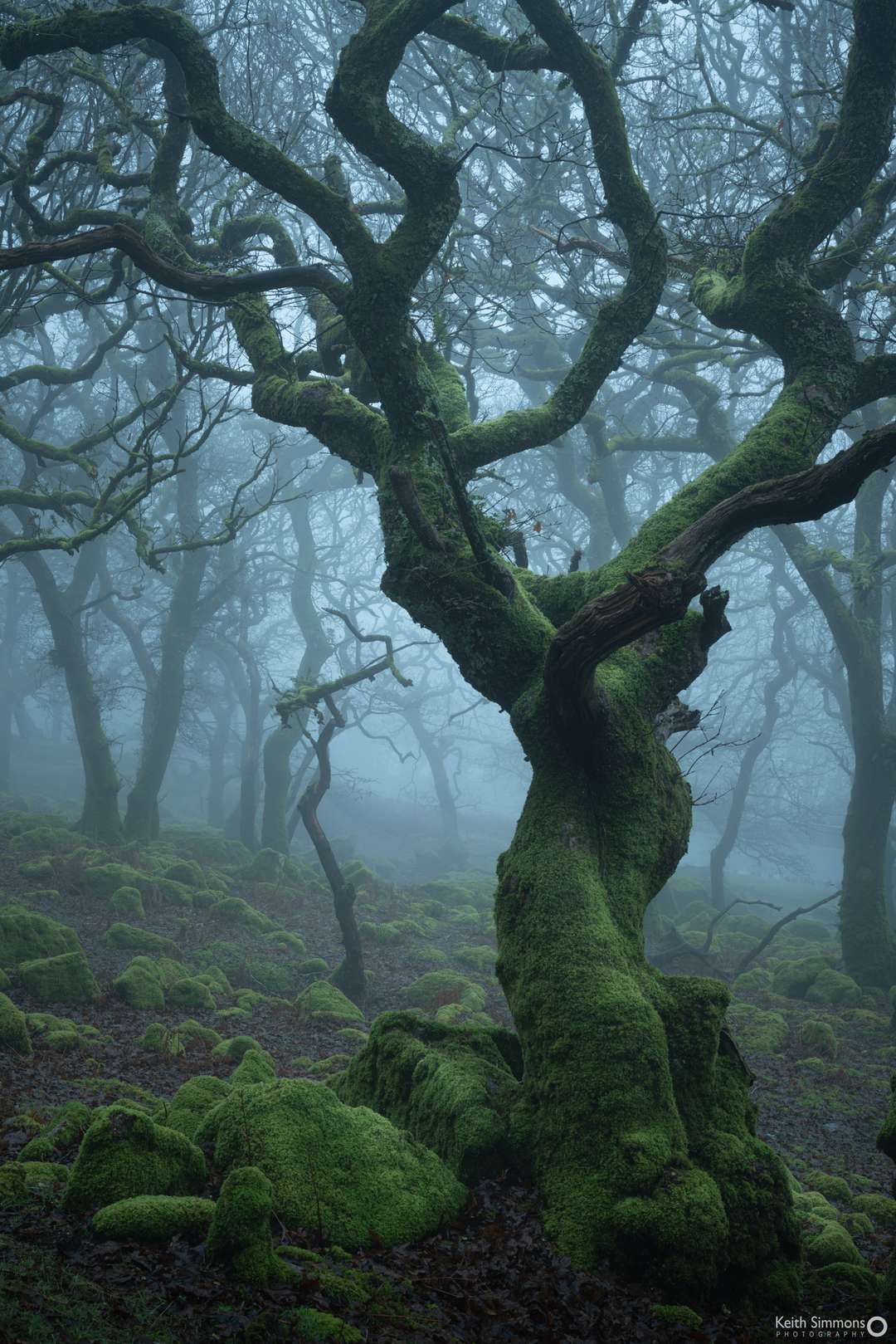 Lee Moor, United Kingdom