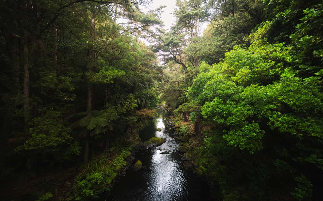 Top Photo Spots at Hatea River in 2026